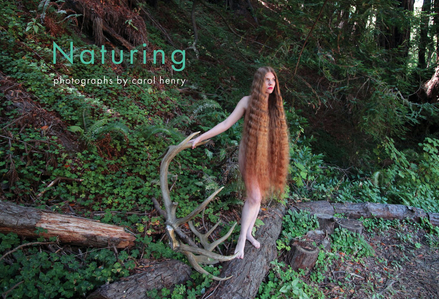 Naturing Exhibition - Carol Henry Photography